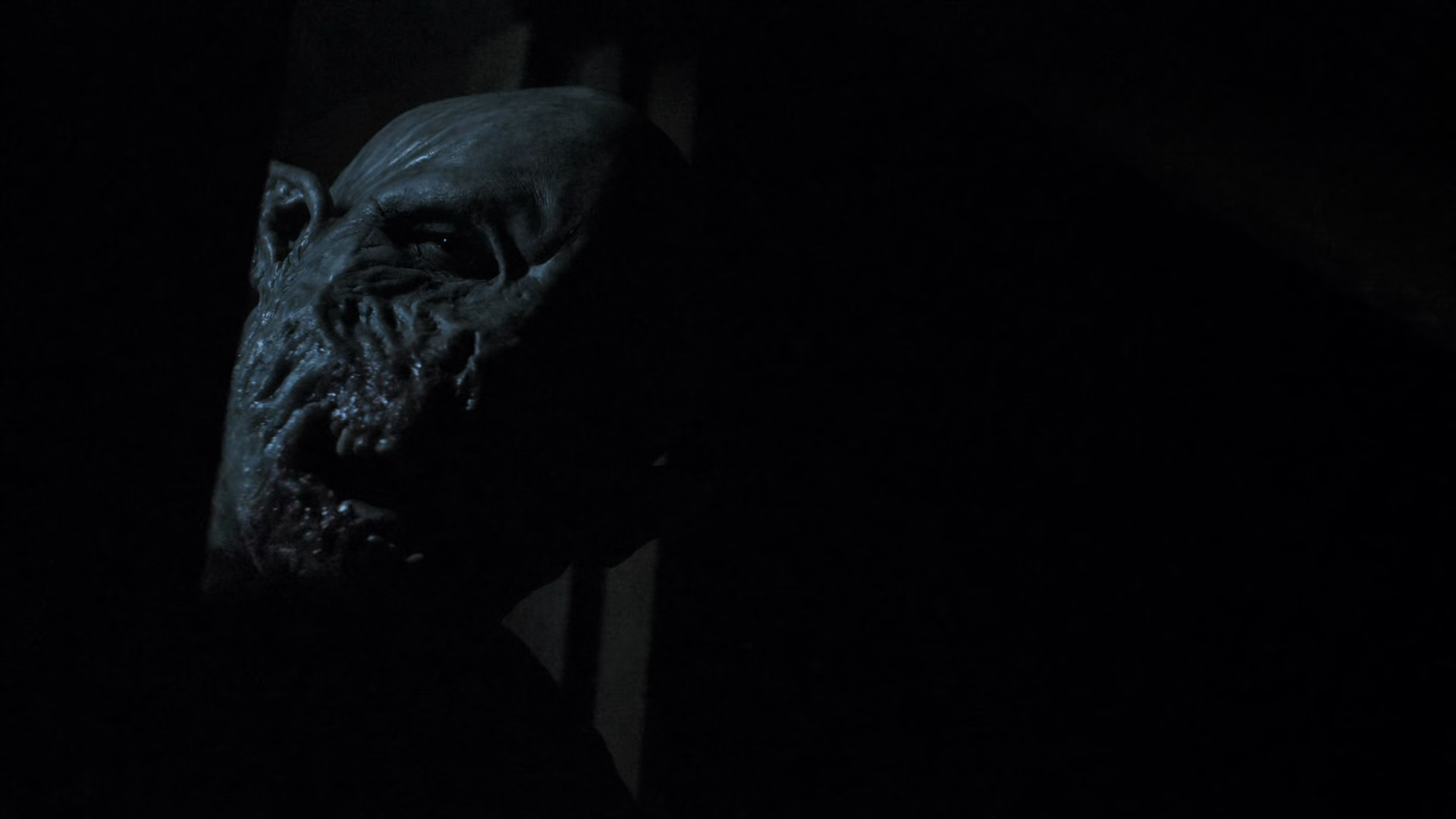 Every Leprechaun Movie, Ranked – Best Weird Movies